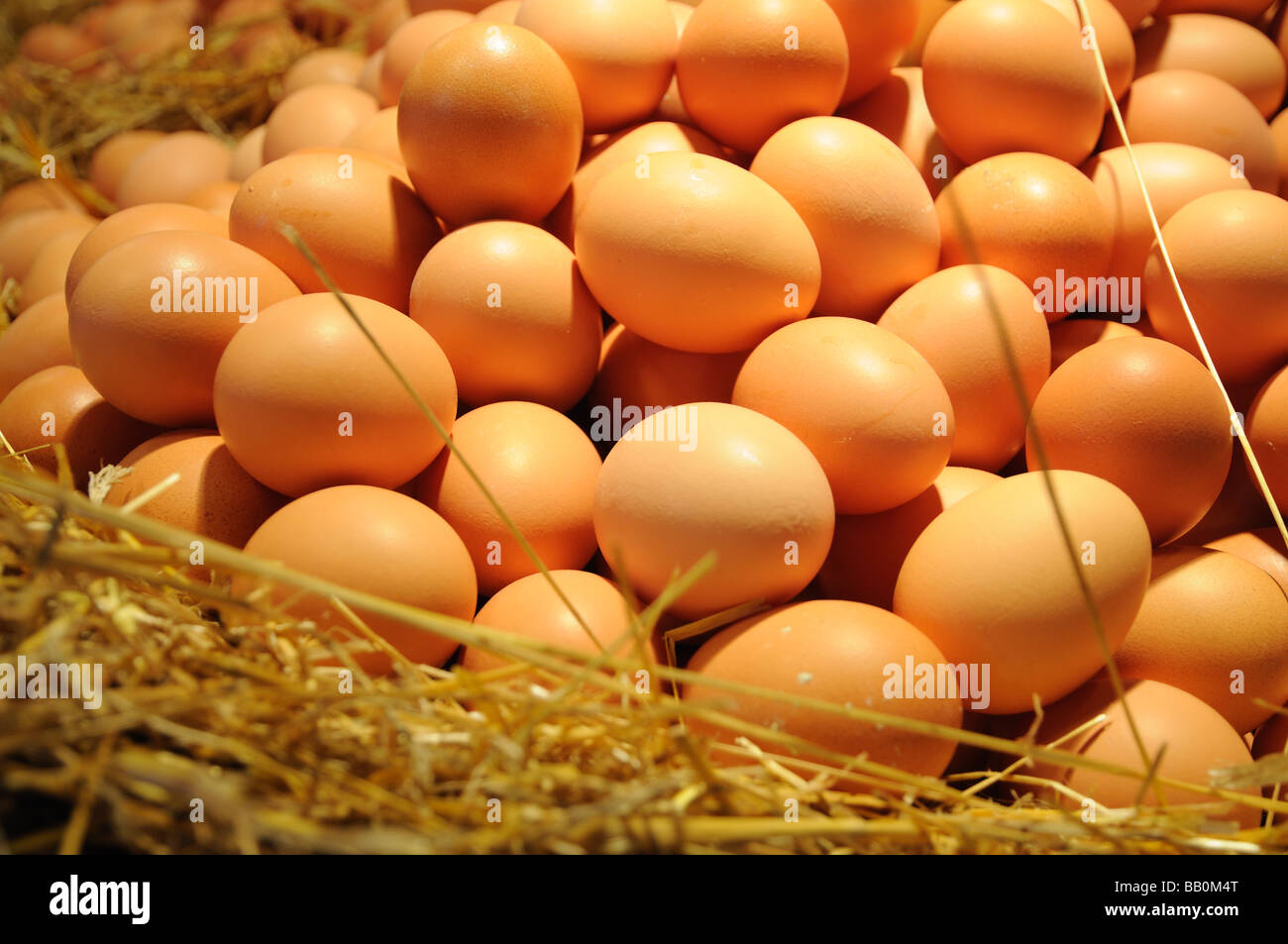 Fresh eggs for sale at market Stock Photo - Alamy