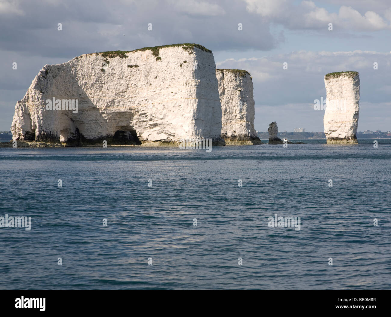 Chalk cliffs and stacks Old Harry Rocks, Handfast Point, Dorset ...