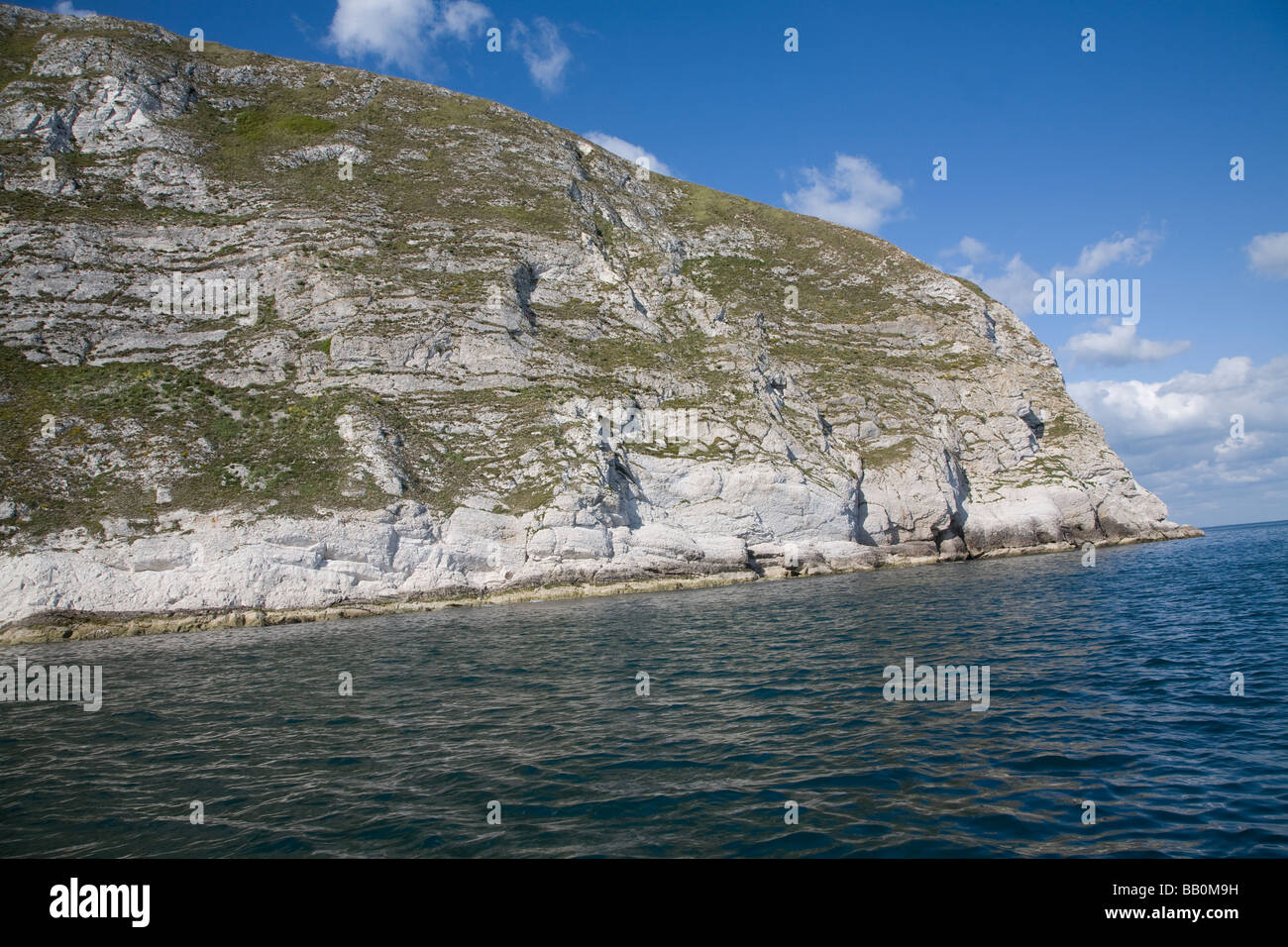 Chalk cliffs Ballard Point near Old Harry Rocks, Dorset, England Stock ...