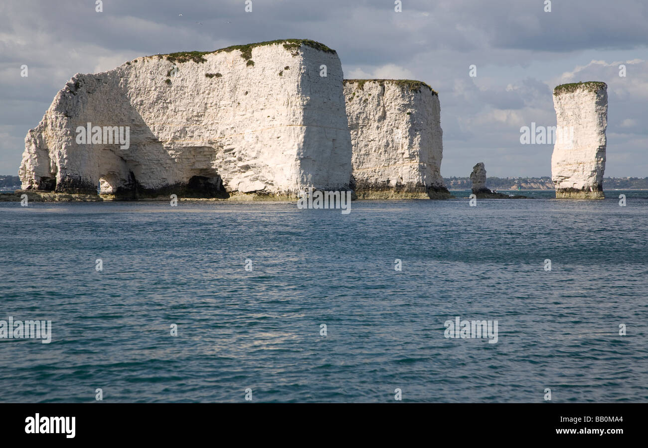 Chalk cliffs and stacks Old Harry Rocks, Handfast Point, Dorset ...