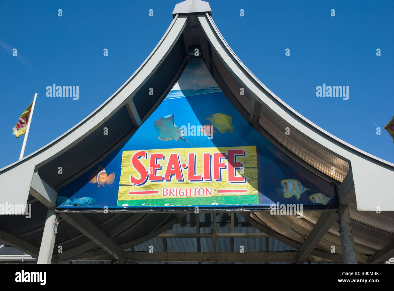 Sea Life Centre, Brighton, East Sussex, England, UK Stock Photo - Alamy