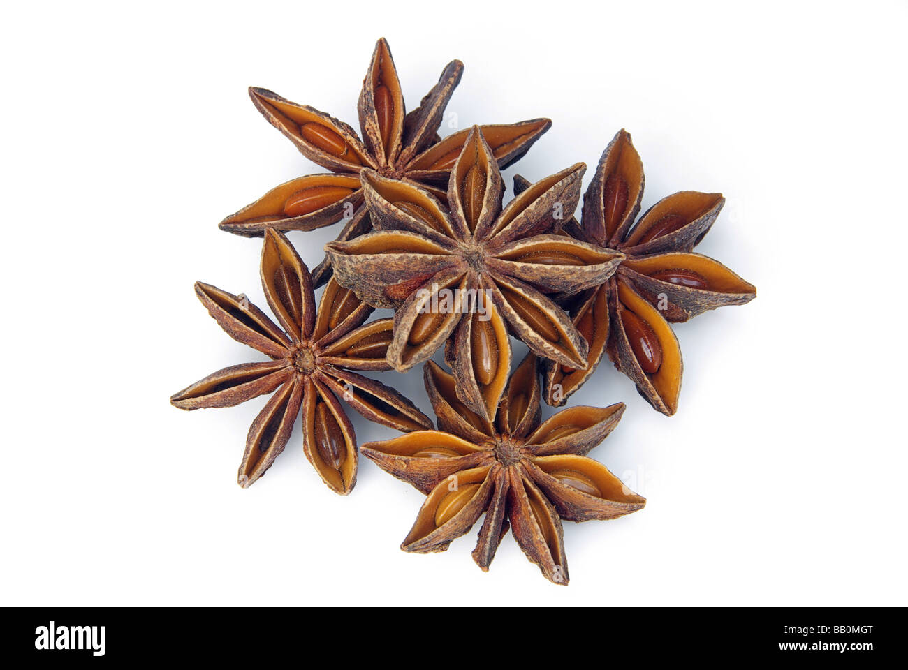 Anisstern star from anis 01 Stock Photo - Alamy