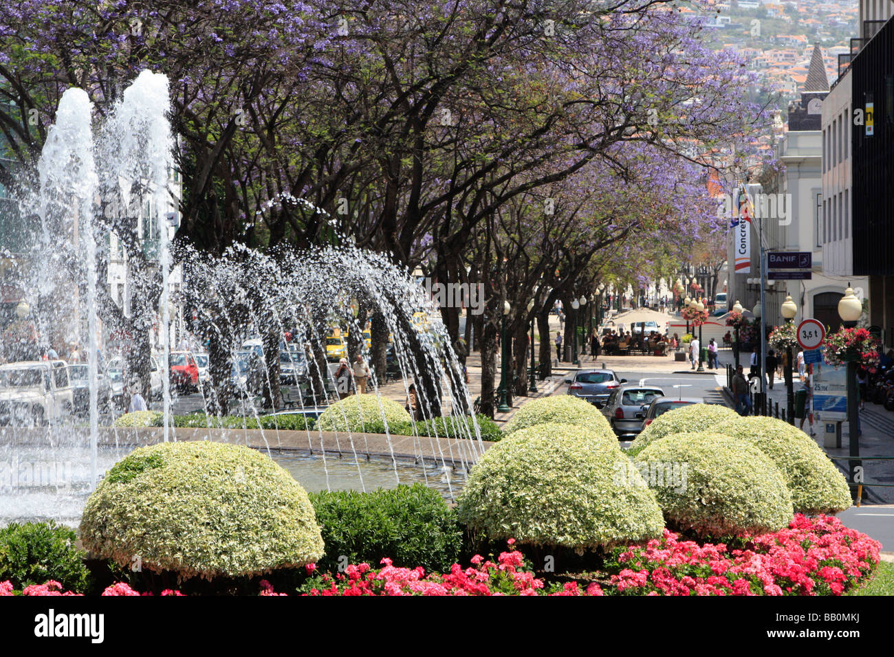 funchal madeira seaside city portuguese island in the mid Atlantic ...