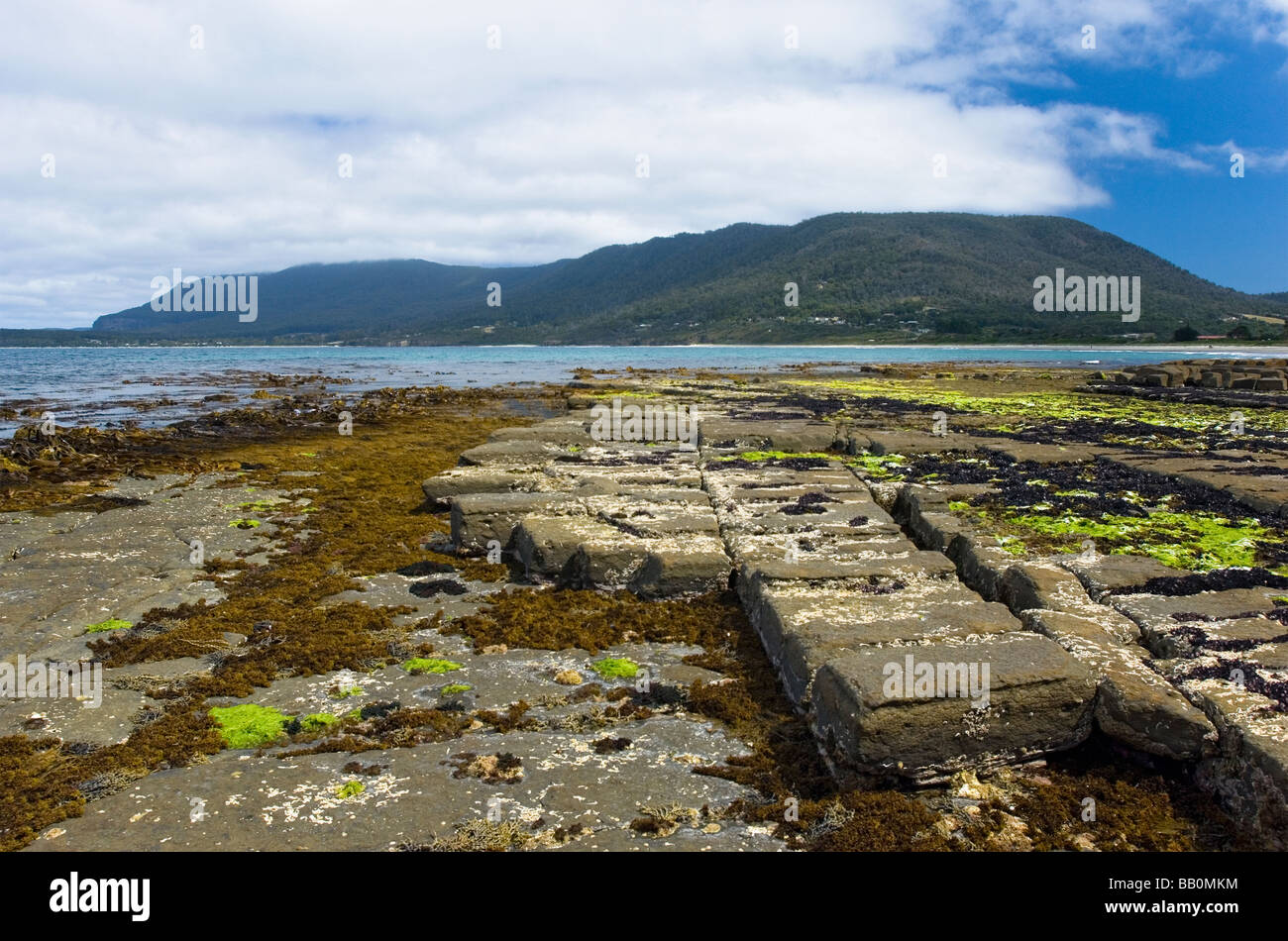 The Tessellated Pavement near Eaglehawk Neck on the Tasman Peninsula ...