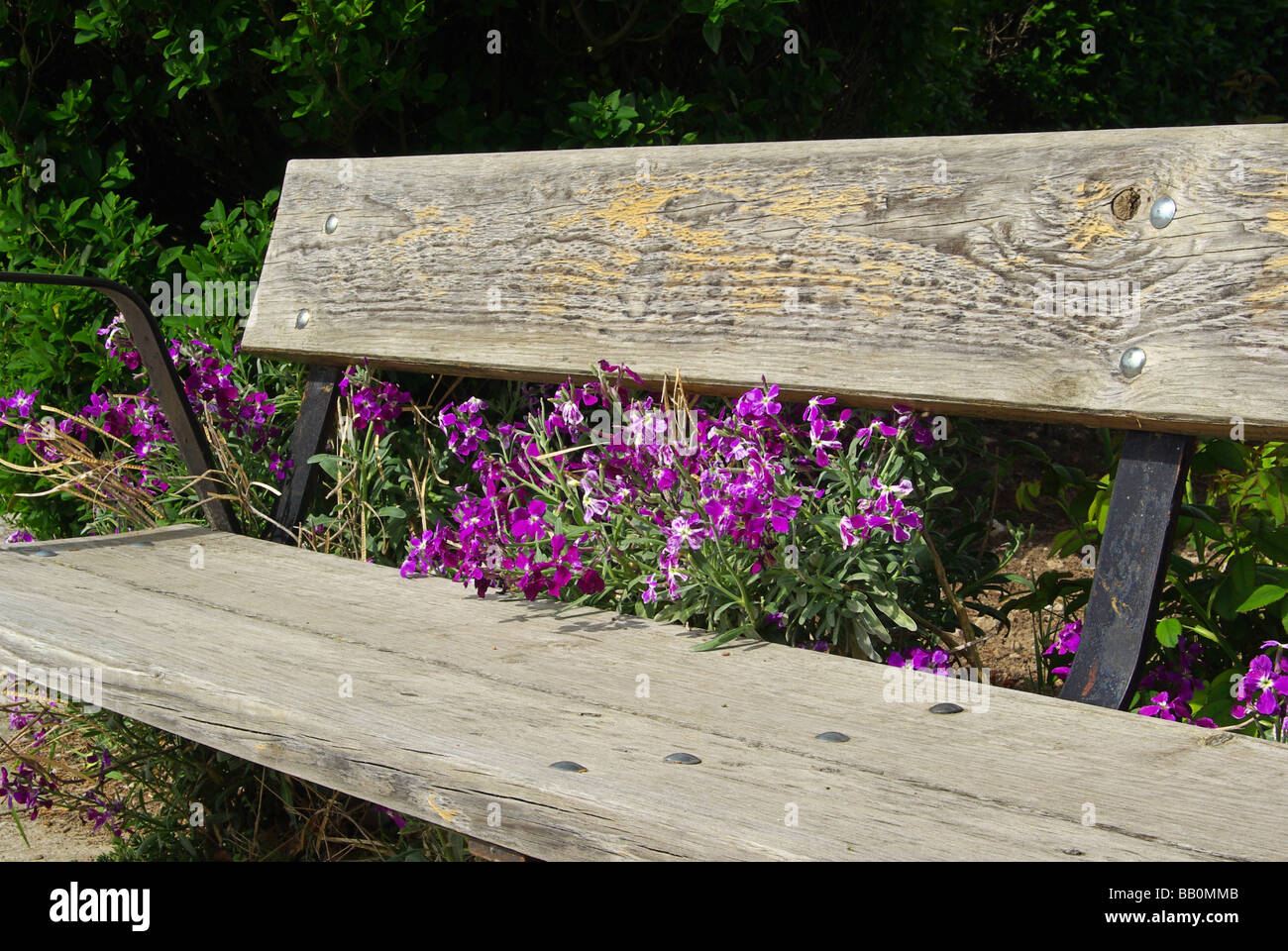 Bank bench 03 Stock Photo - Alamy