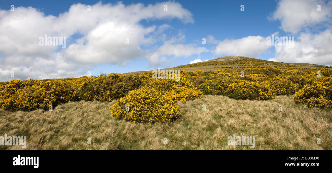 Panorama of Knipe Scar, Cumbria, against a blue sky with light clouds ...