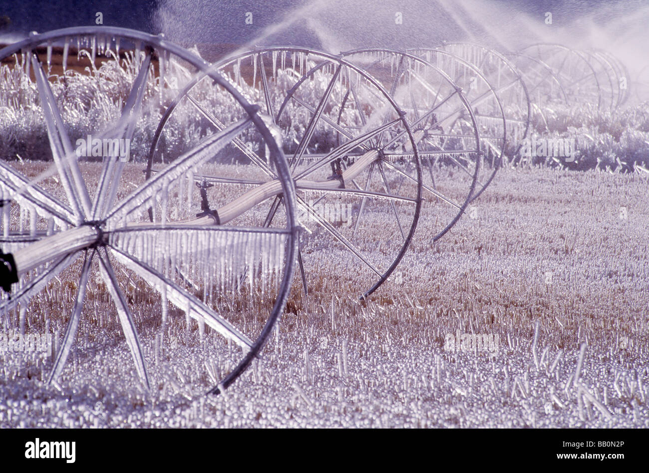 Frozen sprinkler hi-res stock photography and images - Alamy