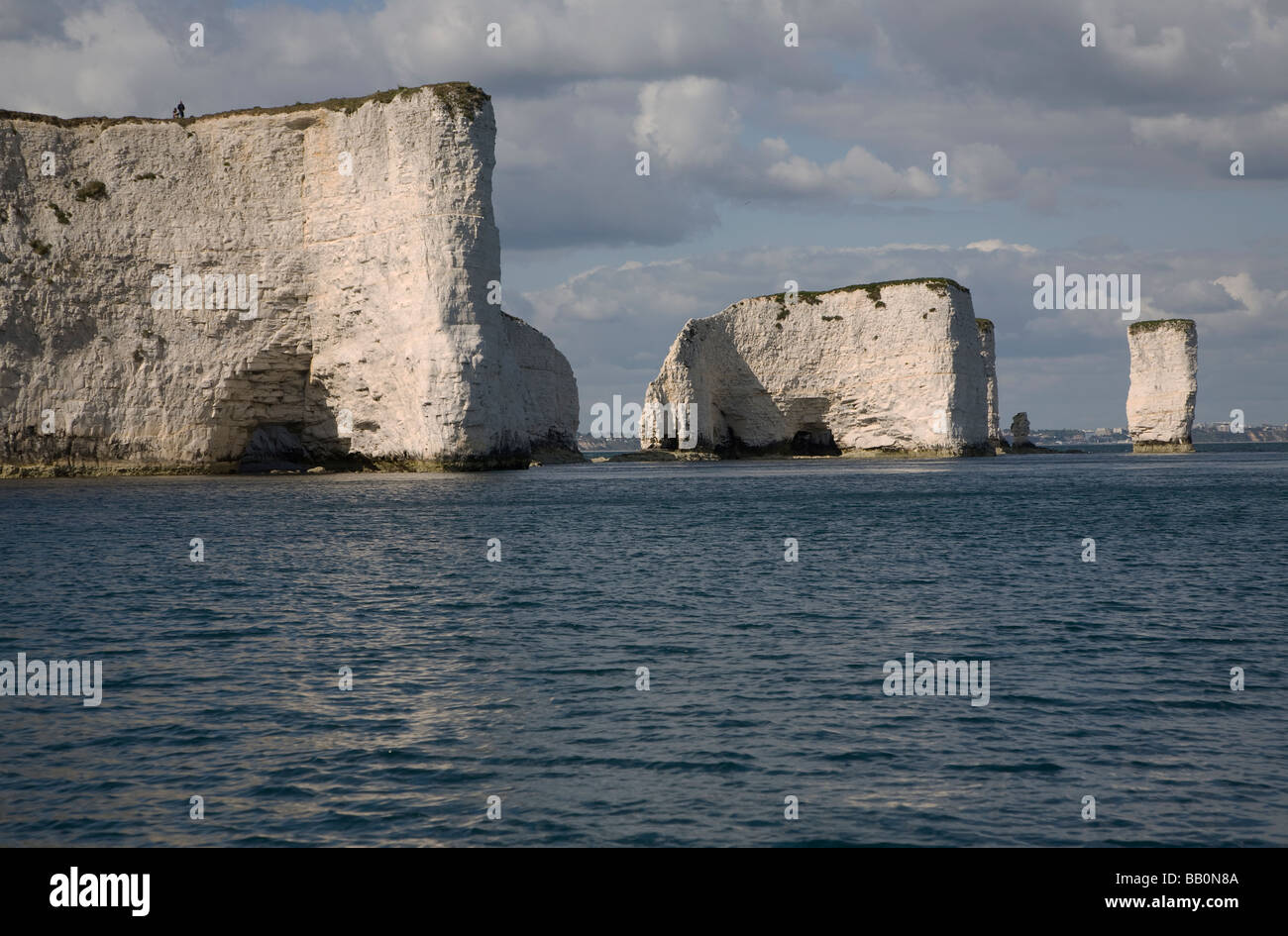 Chalk cliffs and stacks Old Harry Rocks, Handfast Point, Dorset ...