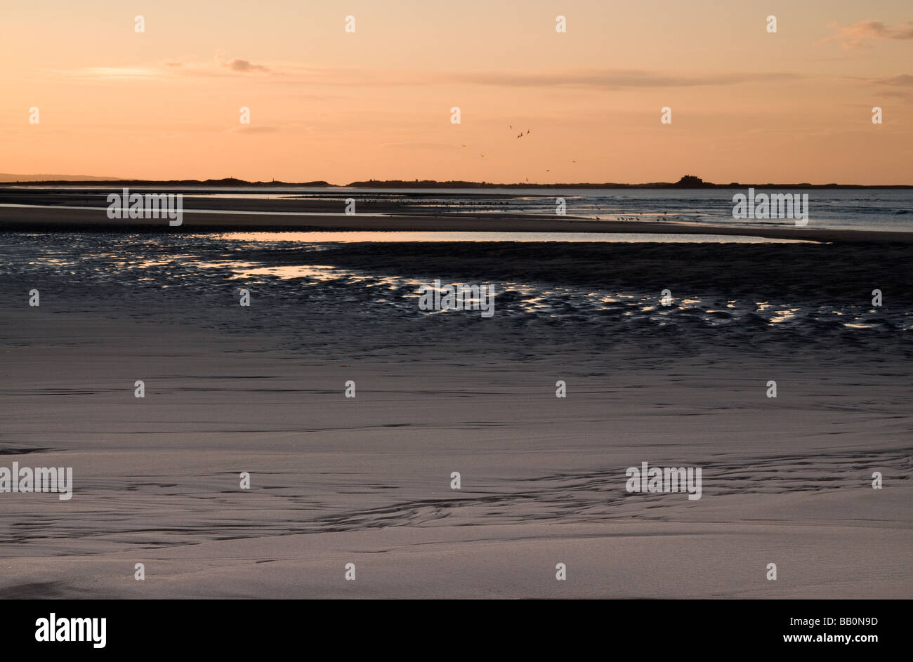 Sunset at Budle Bay Northumberland Stock Photo - Alamy