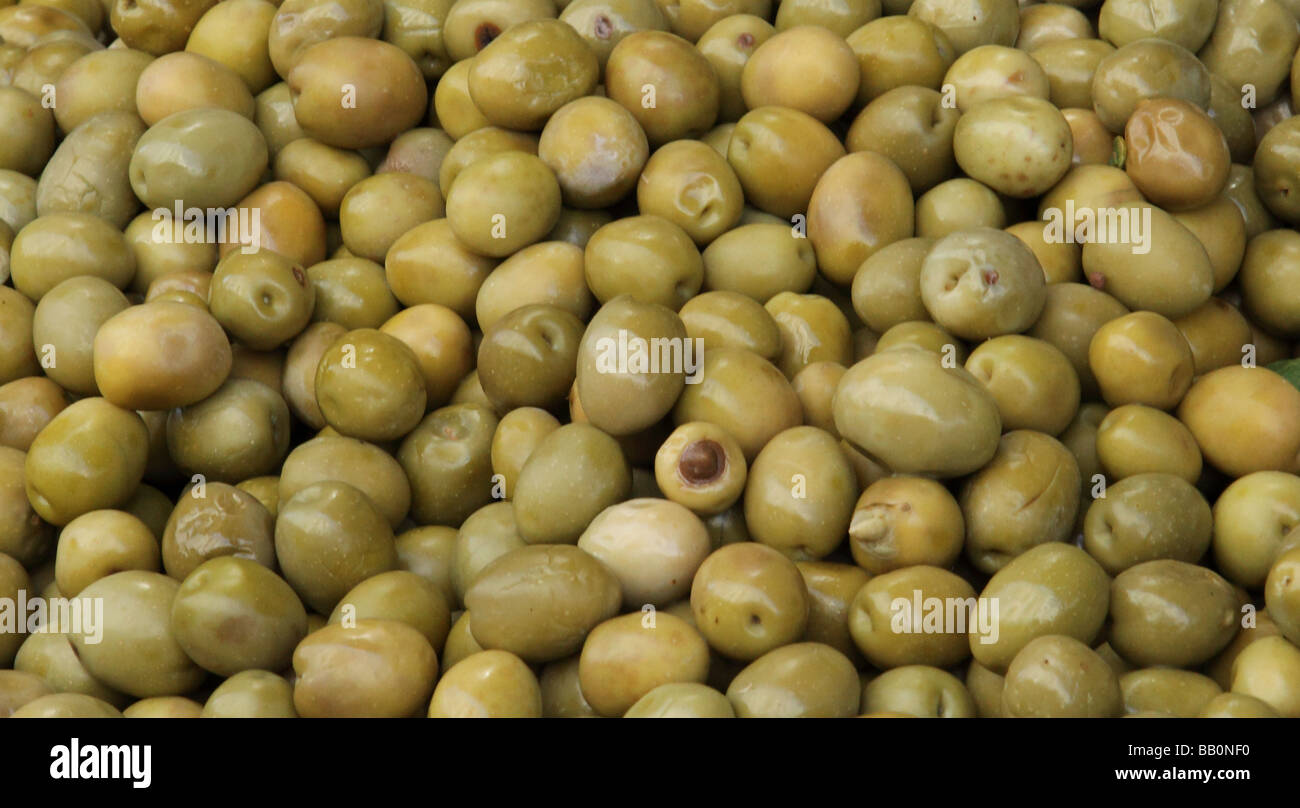 Live on fruit hi-res stock photography and images - Alamy