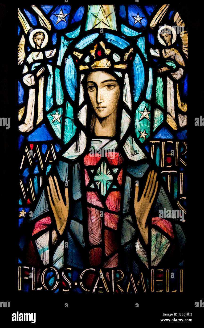 Flos carmeli hi-res stock photography and images - Alamy