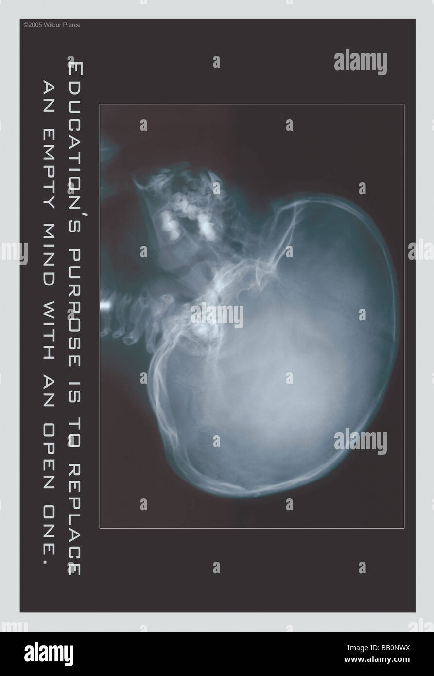 Education for an Empty Mind Stock Photo - Alamy