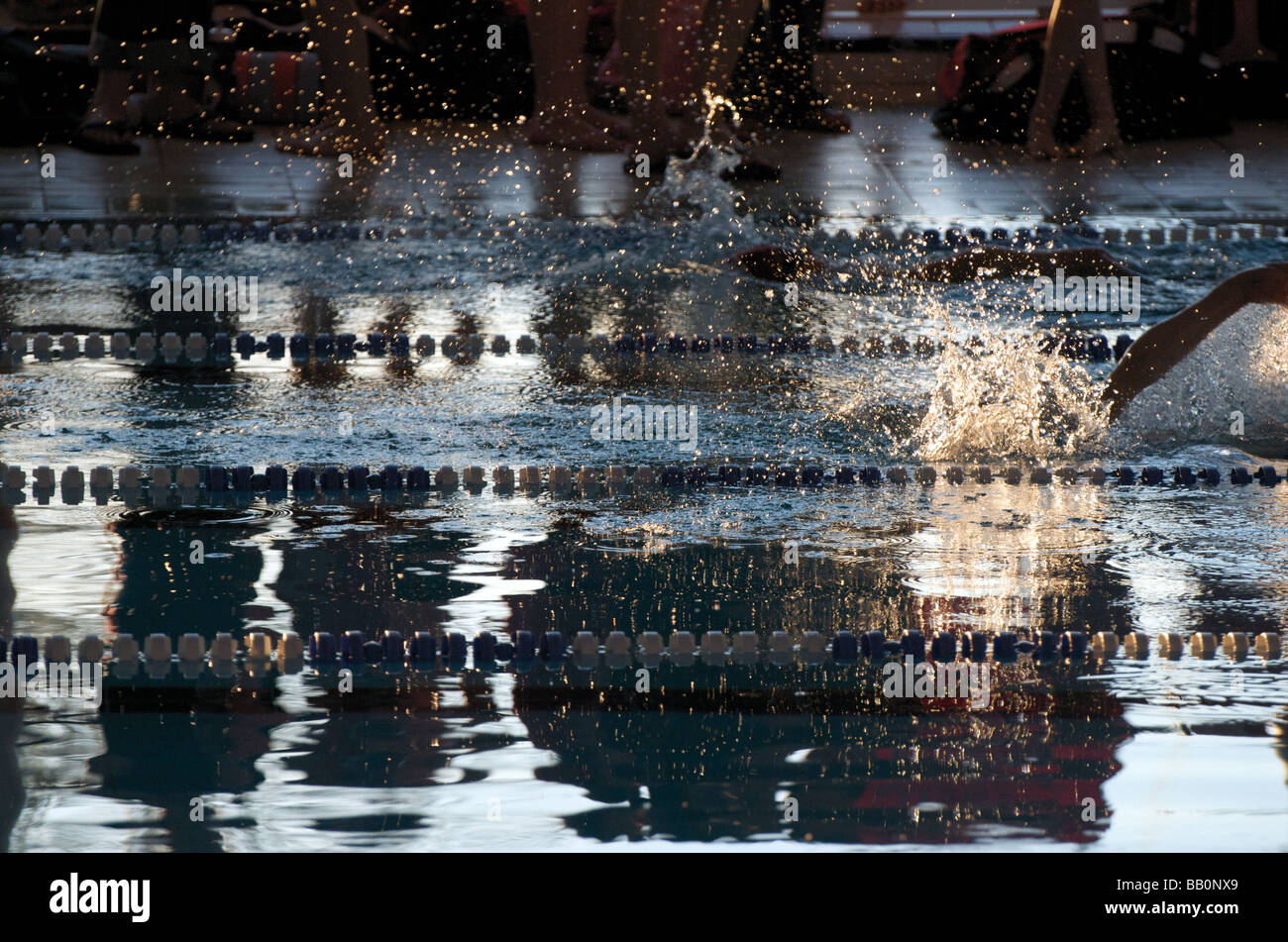 Race taking place in a swimming pool with lanes Stock Photo - Alamy