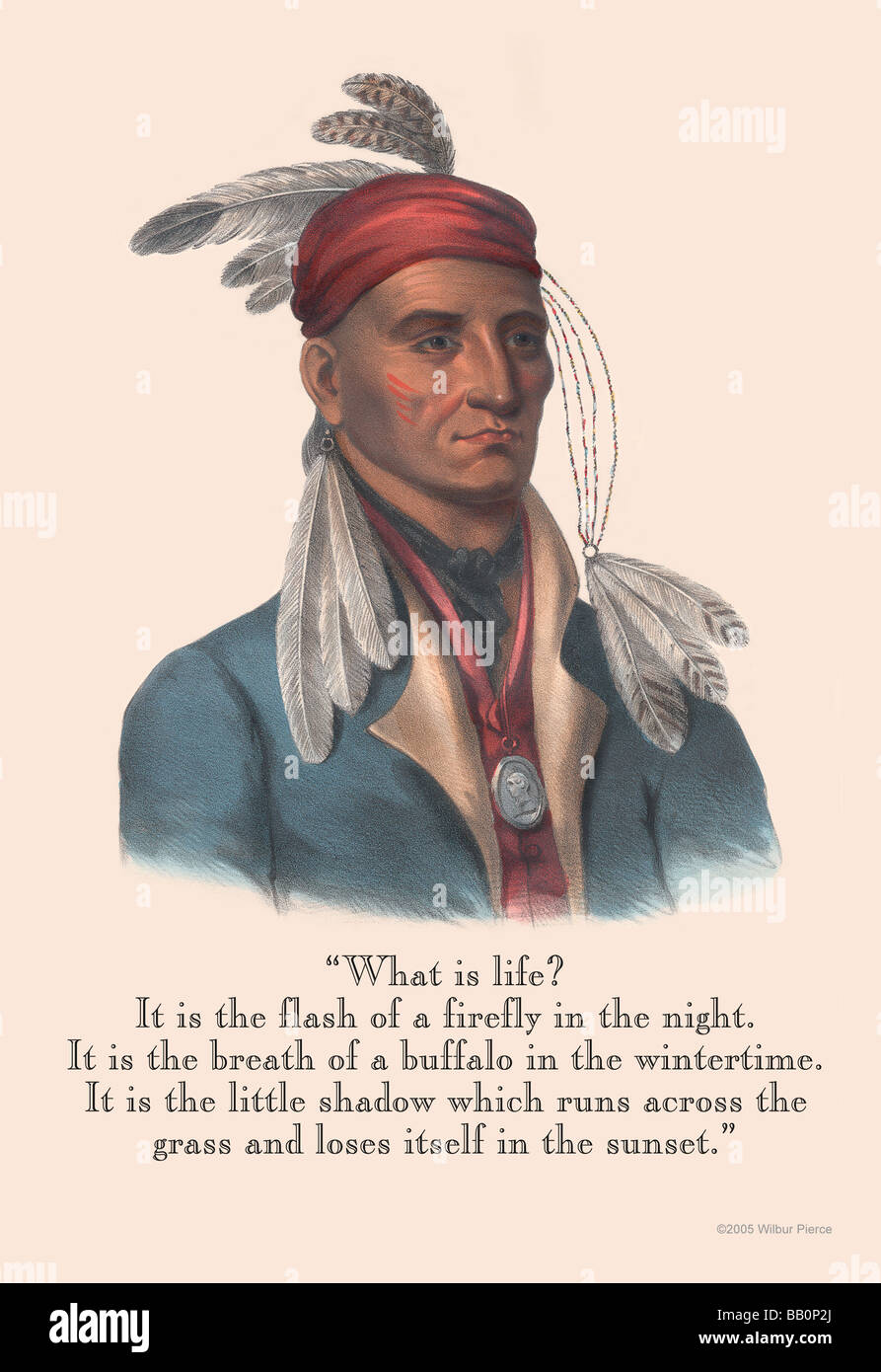 What is Life Stock Photo - Alamy