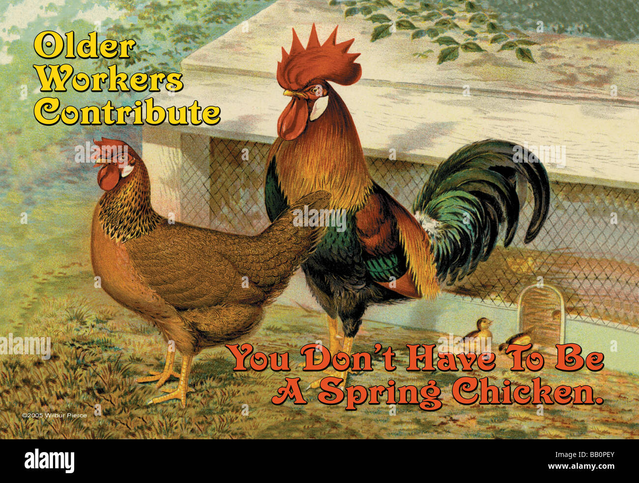 Older Workers Contribute Stock Photo - Alamy