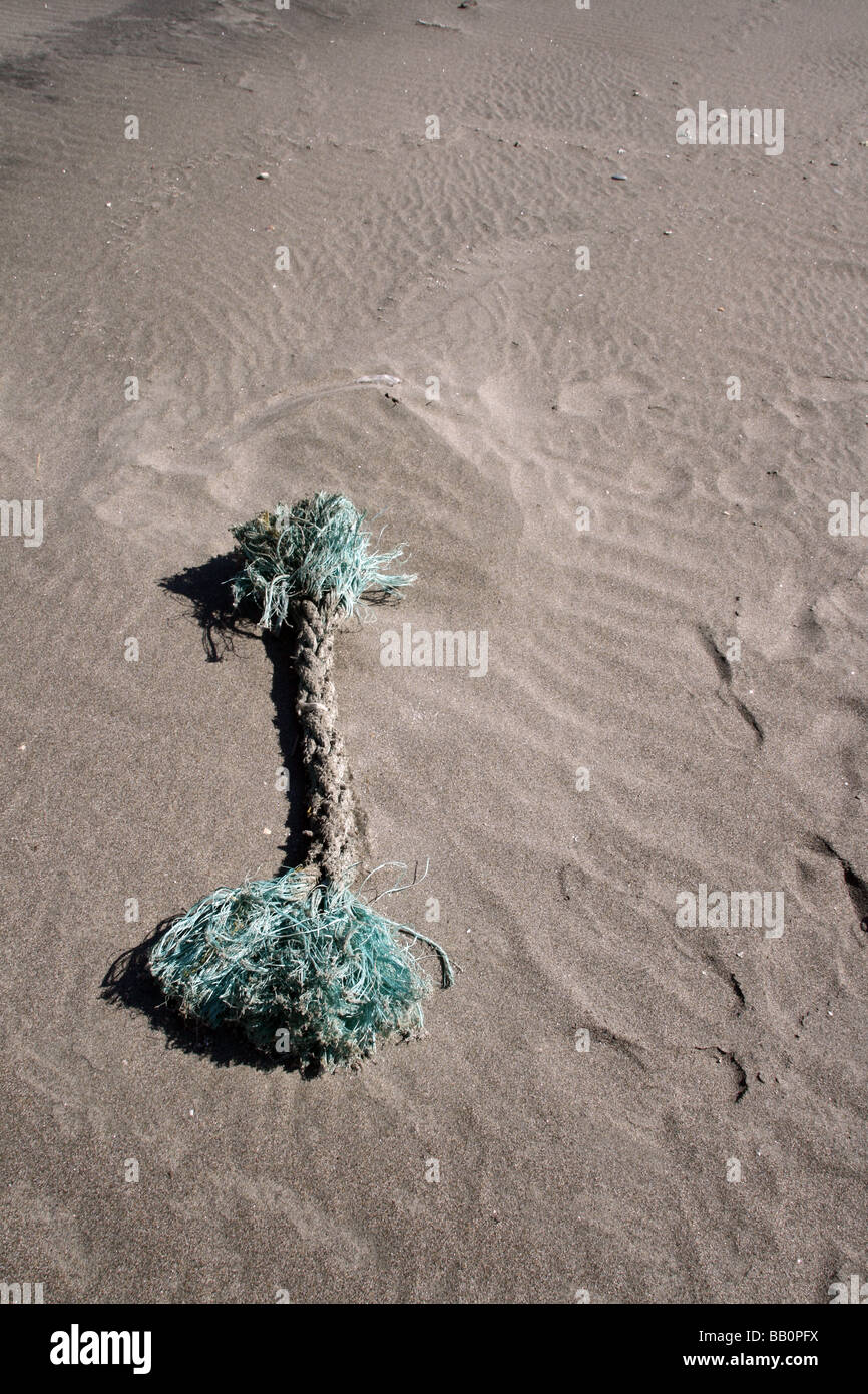 piece of string washed up on a beach Stock Photo - Alamy
