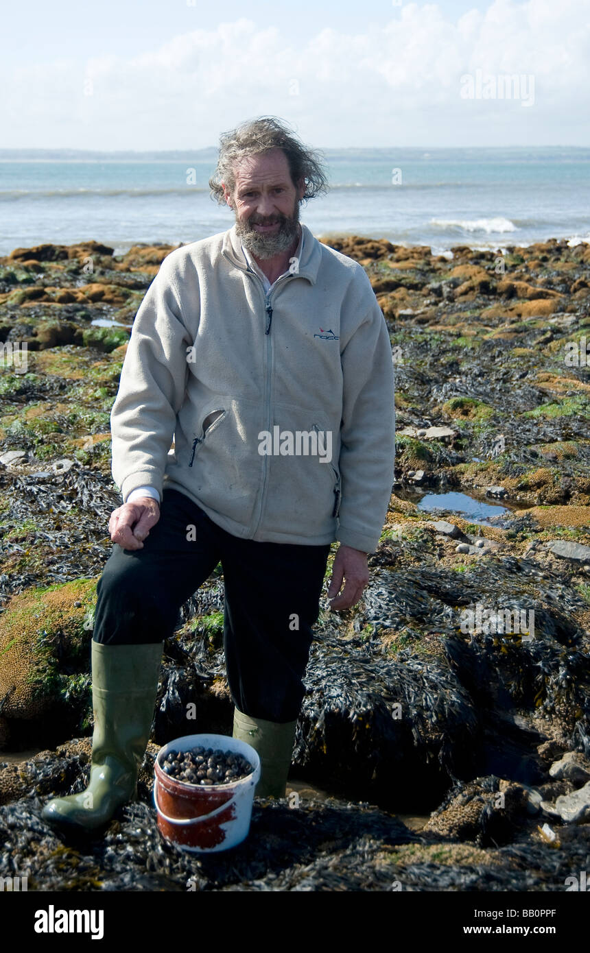 Old irish farm hi-res stock photography and images - Alamy