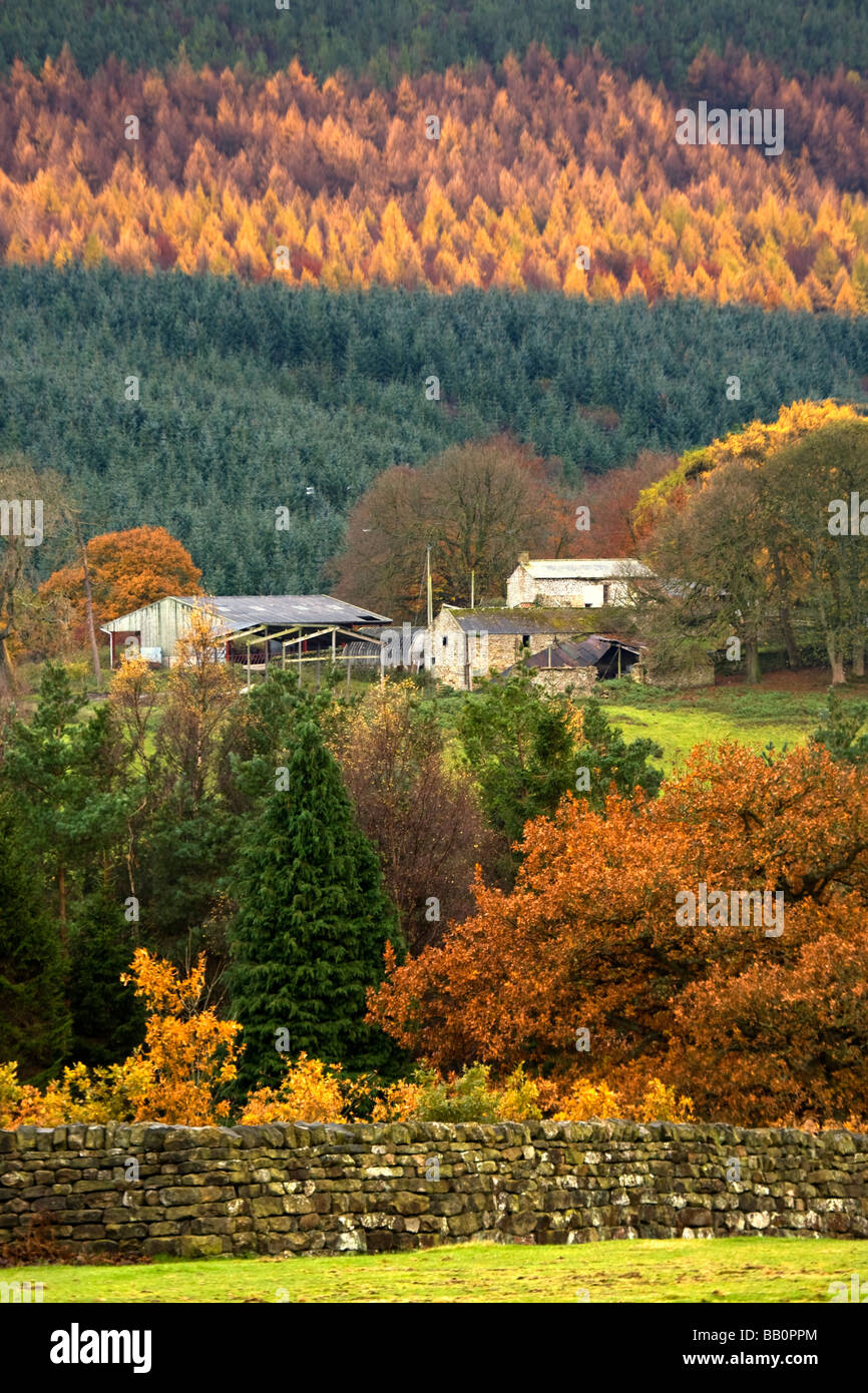 Scenic autumn landscape with country houses; England, UK Stock Photo ...