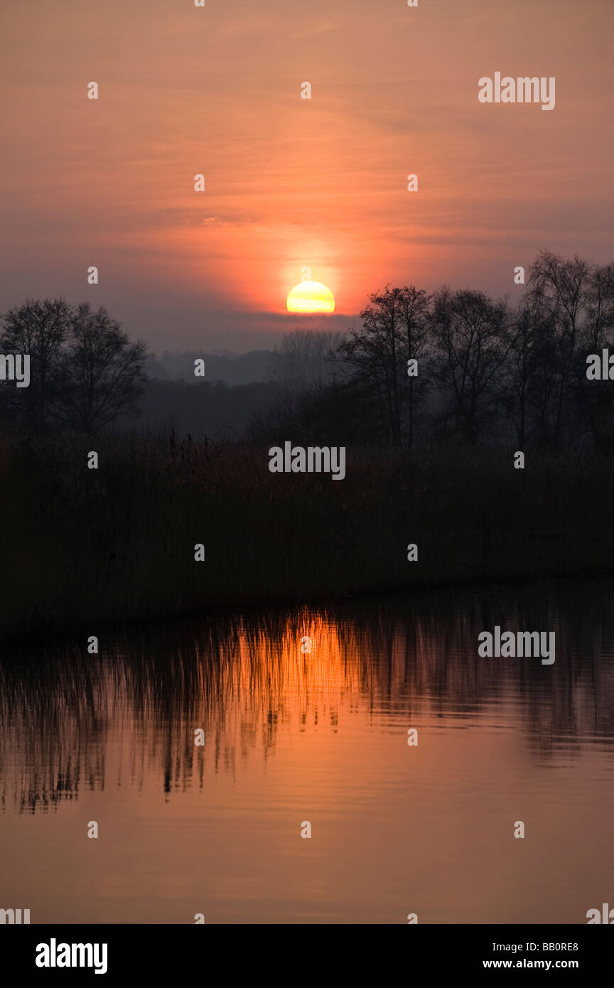 A winter sunset over the Ham Wall nature reserve in Somerset Stock ...