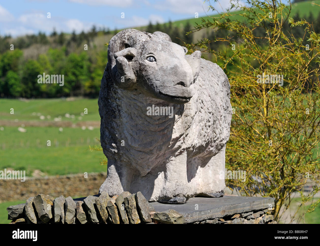 Stone sculpture of Herdwick ram, ( detail ). Hutton Park, Lambrigg ...