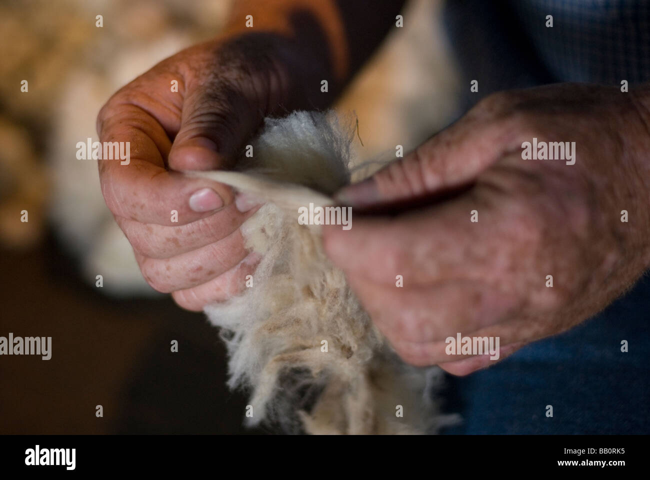 Wool shed hi-res stock photography and images - Alamy