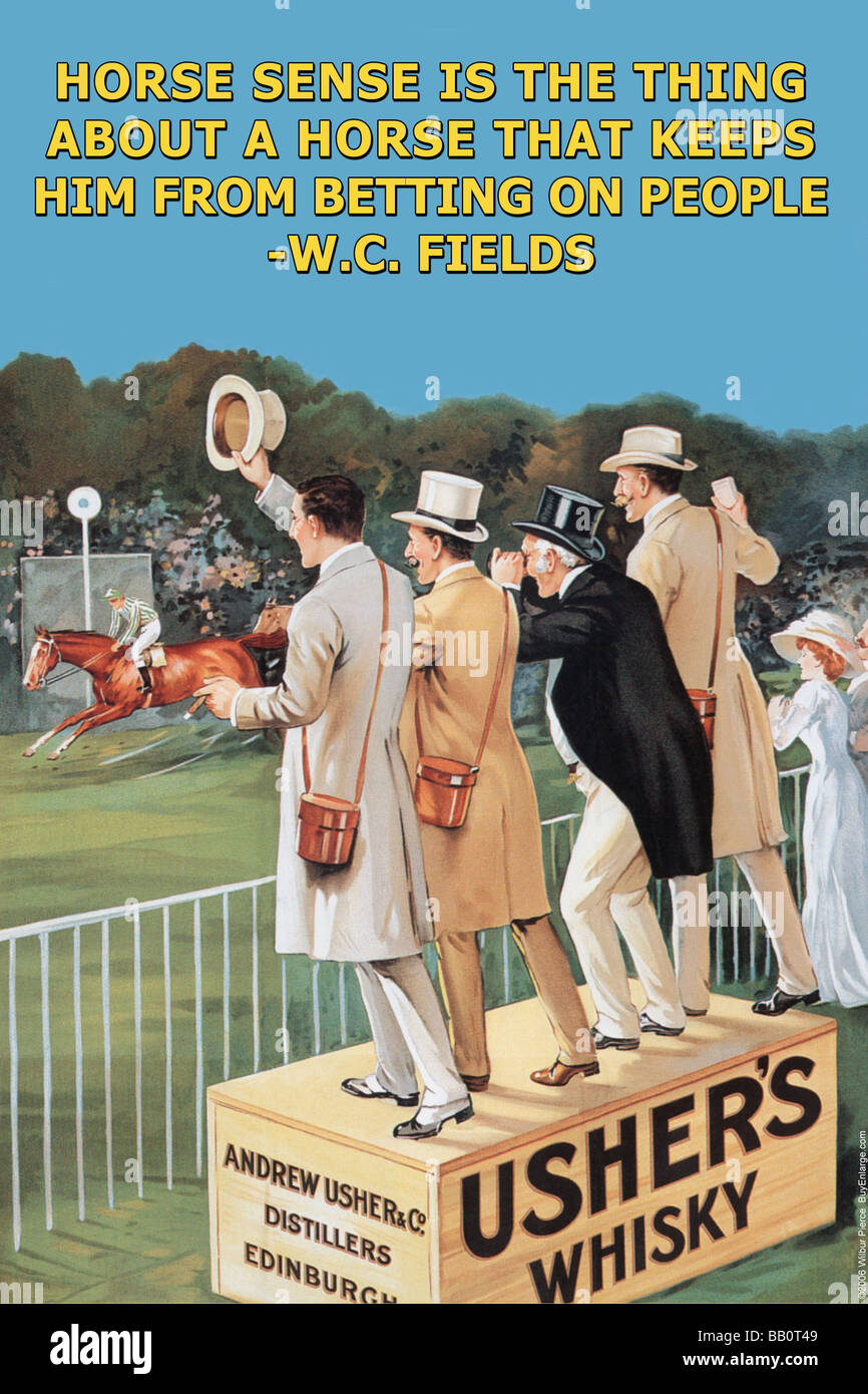 Horse sense hi-res stock photography and images - Alamy