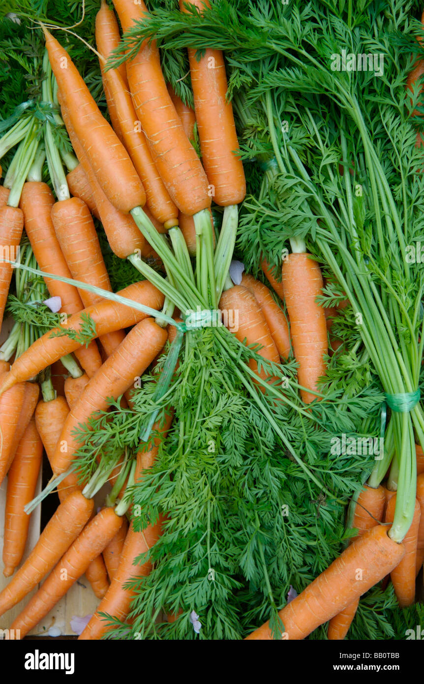Bunches of carrots Stock Photo - Alamy