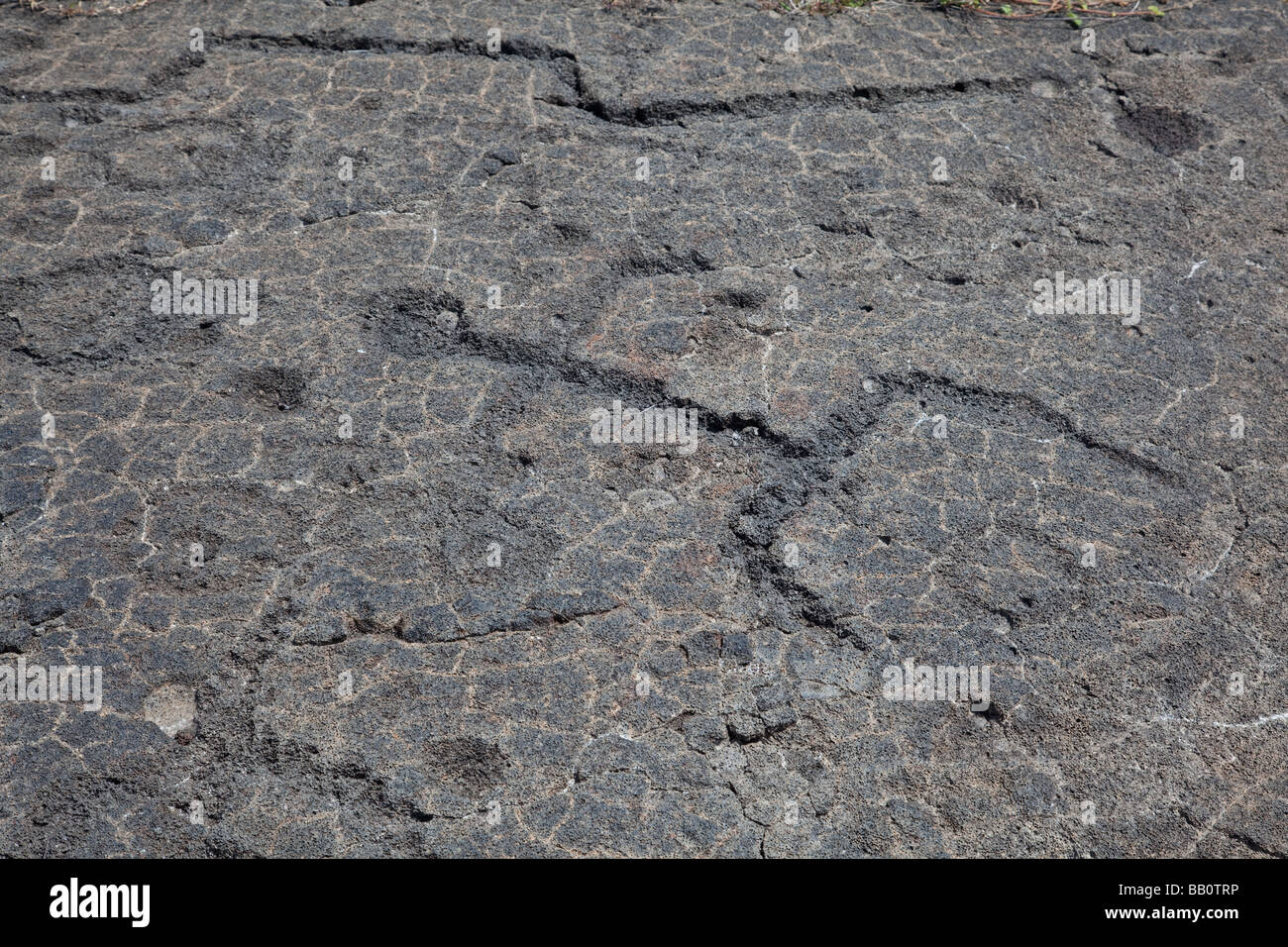 Ancient Hawaiian petroglyphs Big Island Hawaii Stock Photo - Alamy