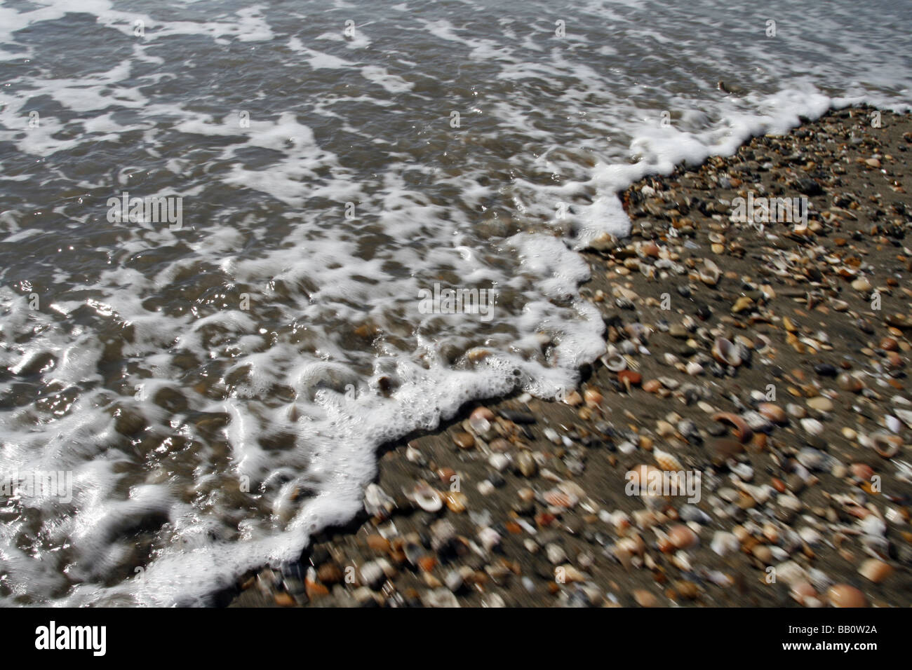 fast flowing ocean wave and sea shells and pebbles washed up on sandy ...