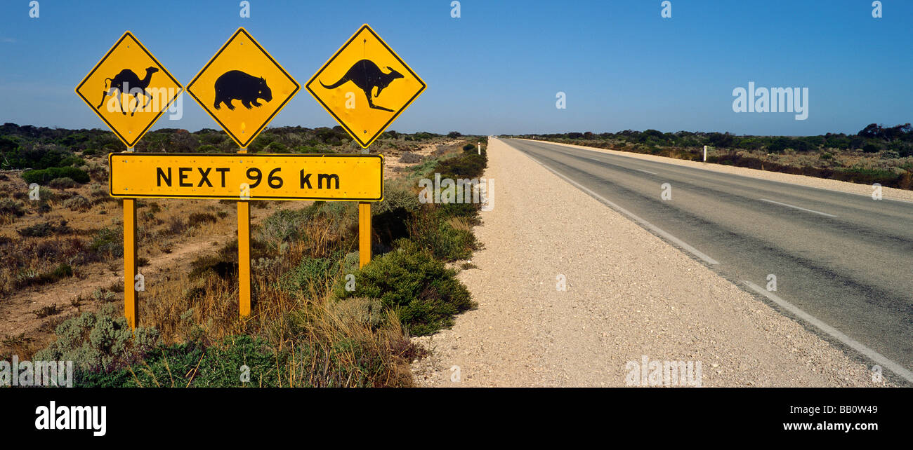 Nullarbor plain australia hi-res stock photography and images - Alamy