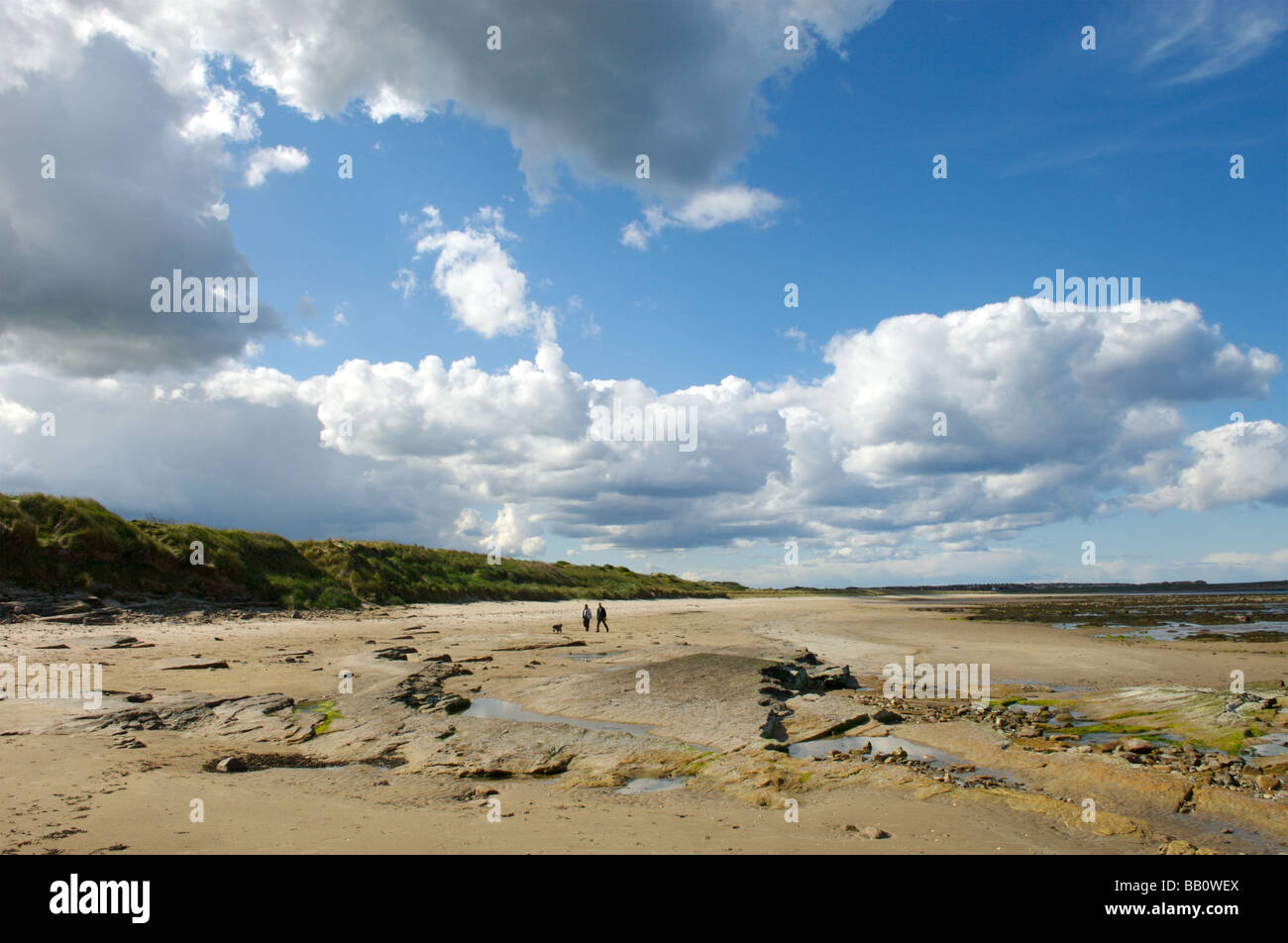 Beadnell Beach, Northumberland Stock Photo - Alamy