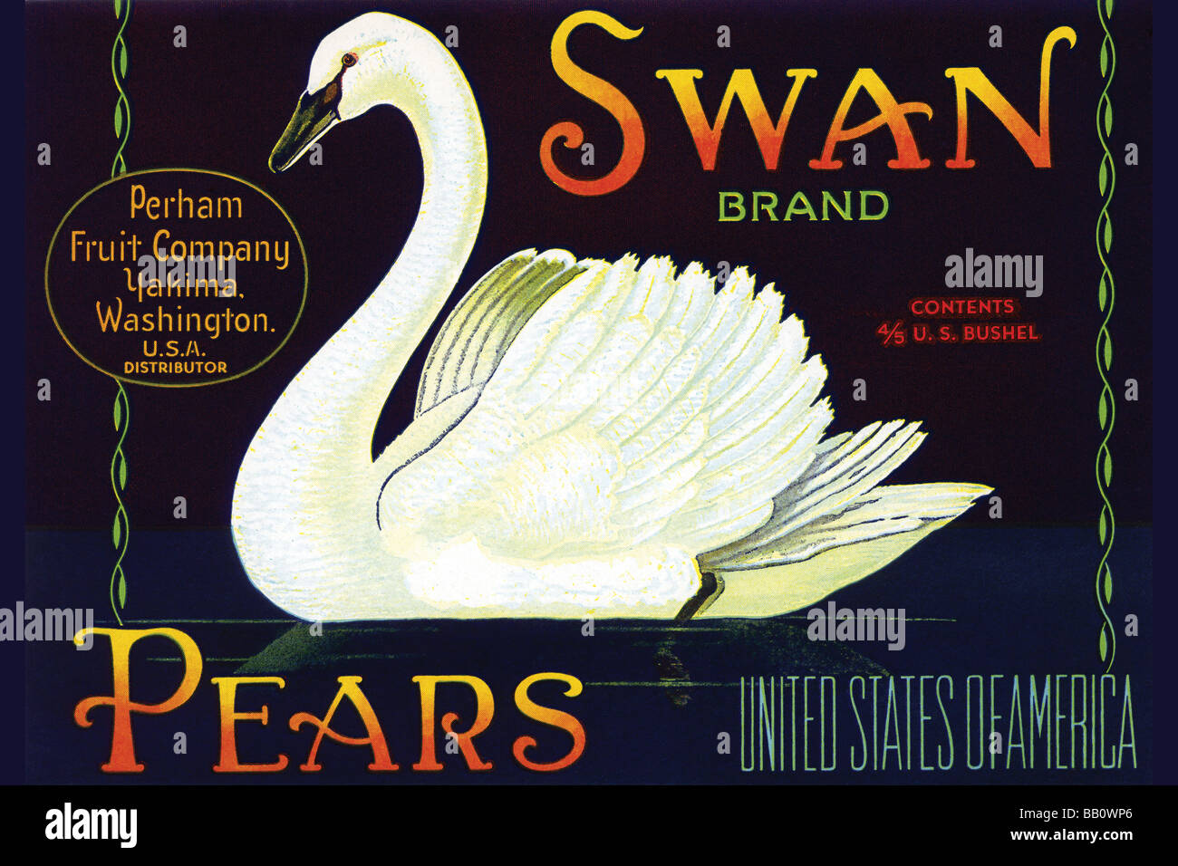 Swan Brand Pears Stock Photo - Alamy
