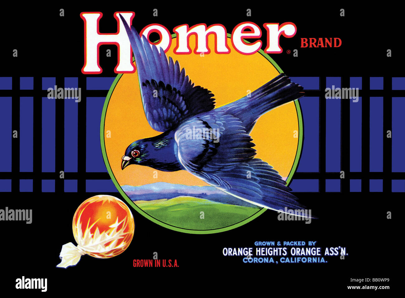 Bird label hi-res stock photography and images - Alamy