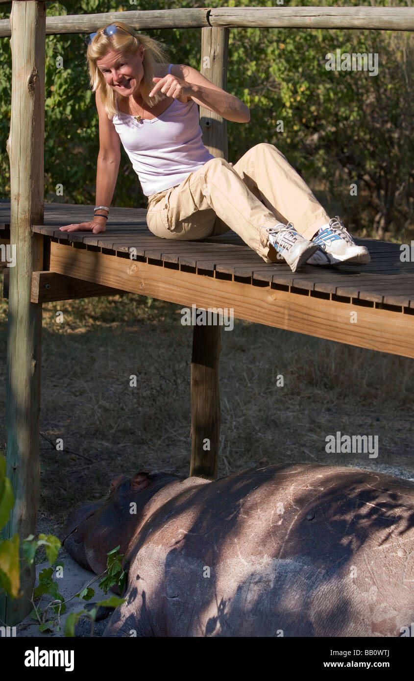 Hippo under walkway hi-res stock photography and images - Alamy