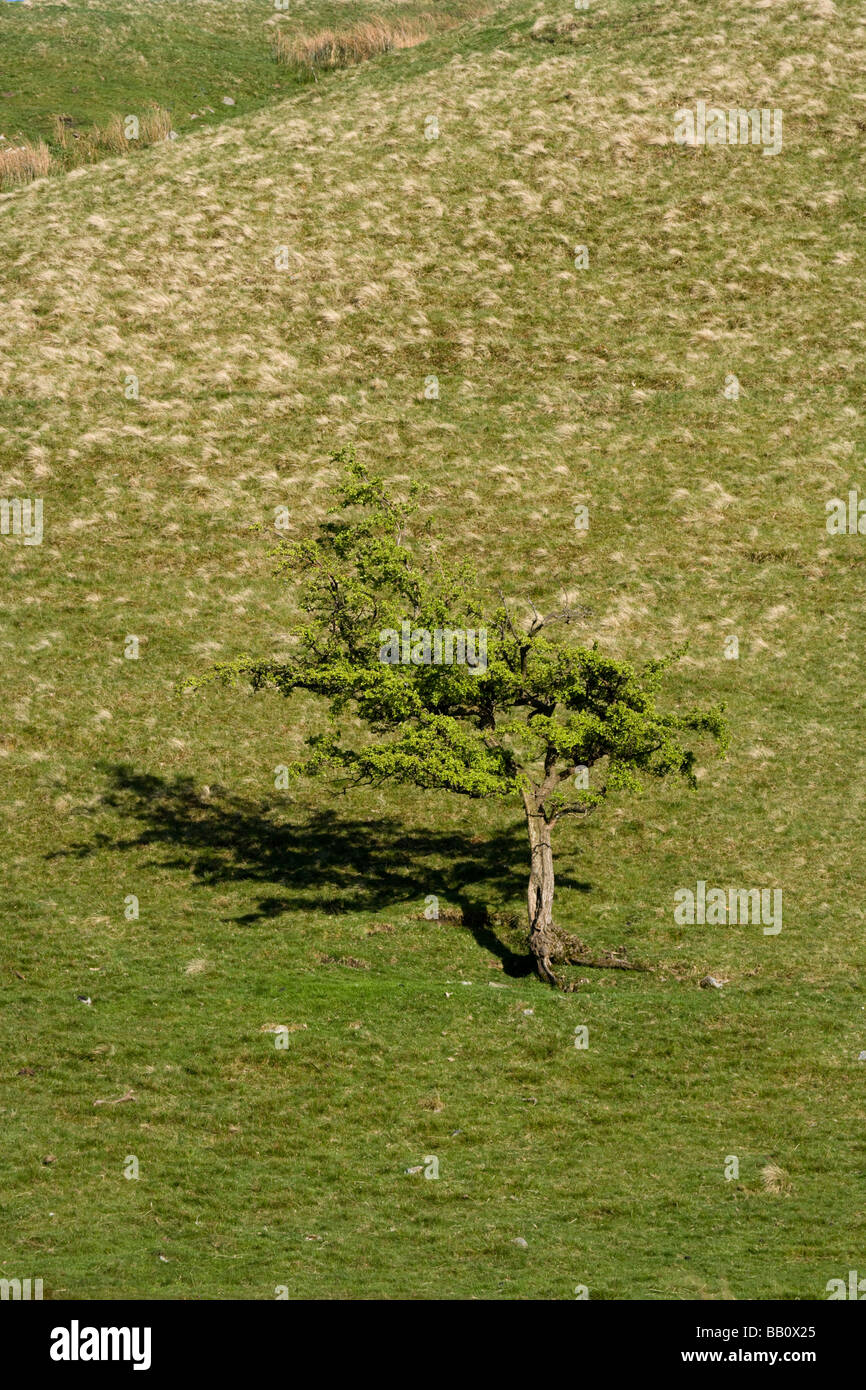 The blean hi-res stock photography and images - Alamy