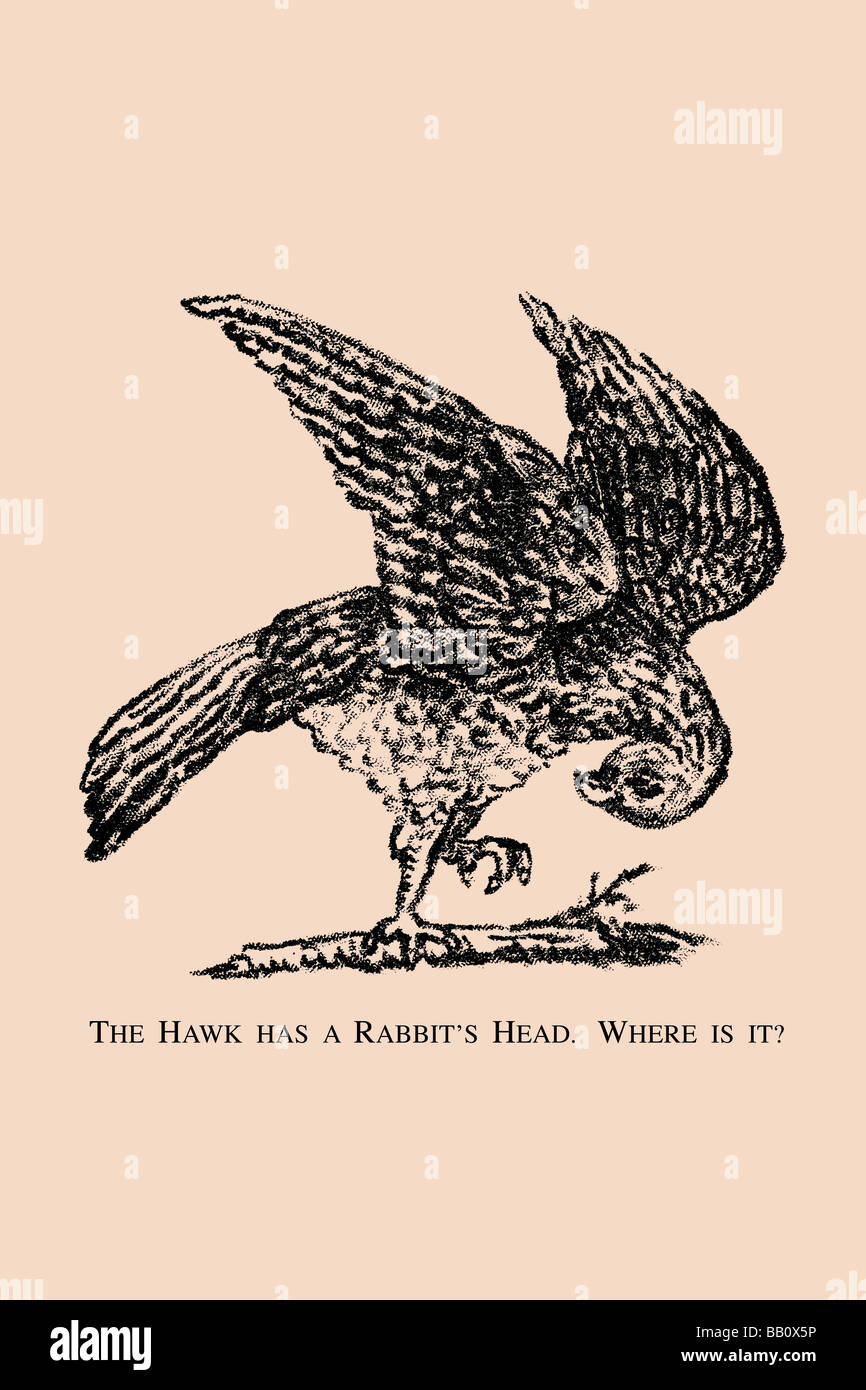 The Hawk Has a Rabbit's Head. Where is it Stock Photo - Alamy