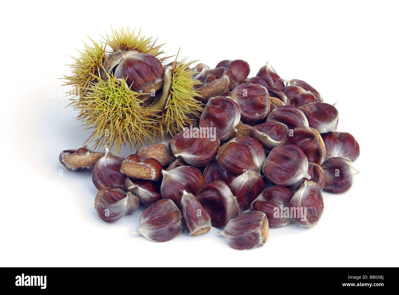 Chestnut shells hi-res stock photography and images - Alamy