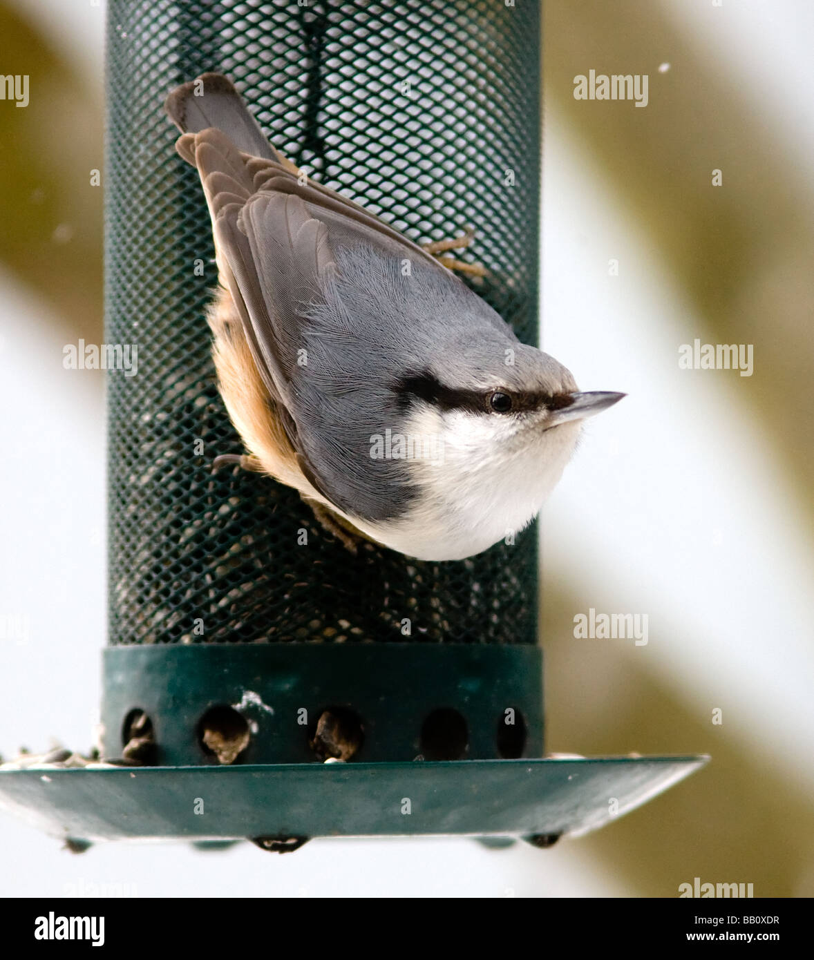 Europea hi-res stock photography and images - Alamy