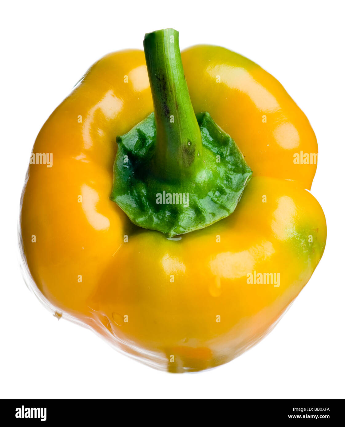 Bell pepper capsicum annuum hi-res stock photography and images - Alamy