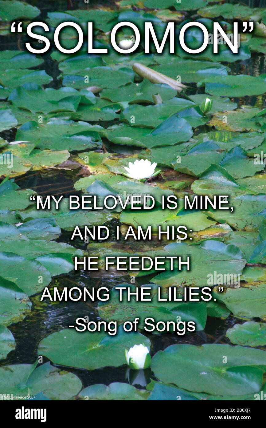 Songs of solomon hi-res stock photography and images - Alamy