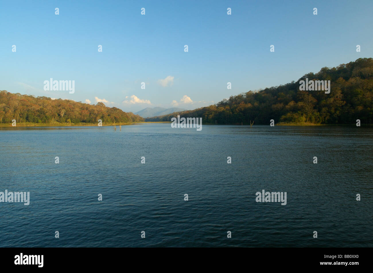 India, Kerala, Periyar/Kumily, Periyar Tiger Reserve. Periyar Lake ...