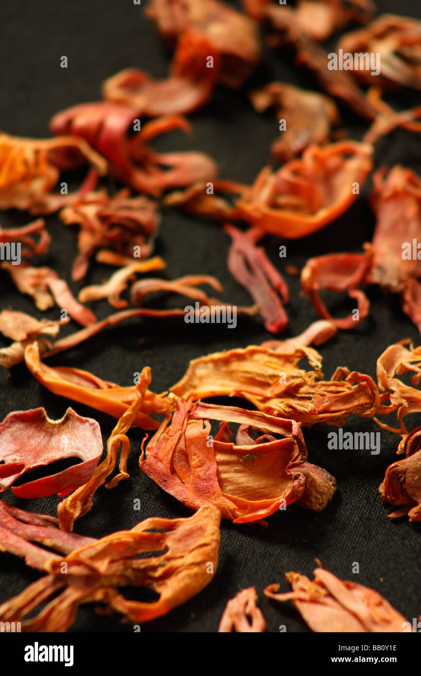 Javitri hi-res stock photography and images - Alamy