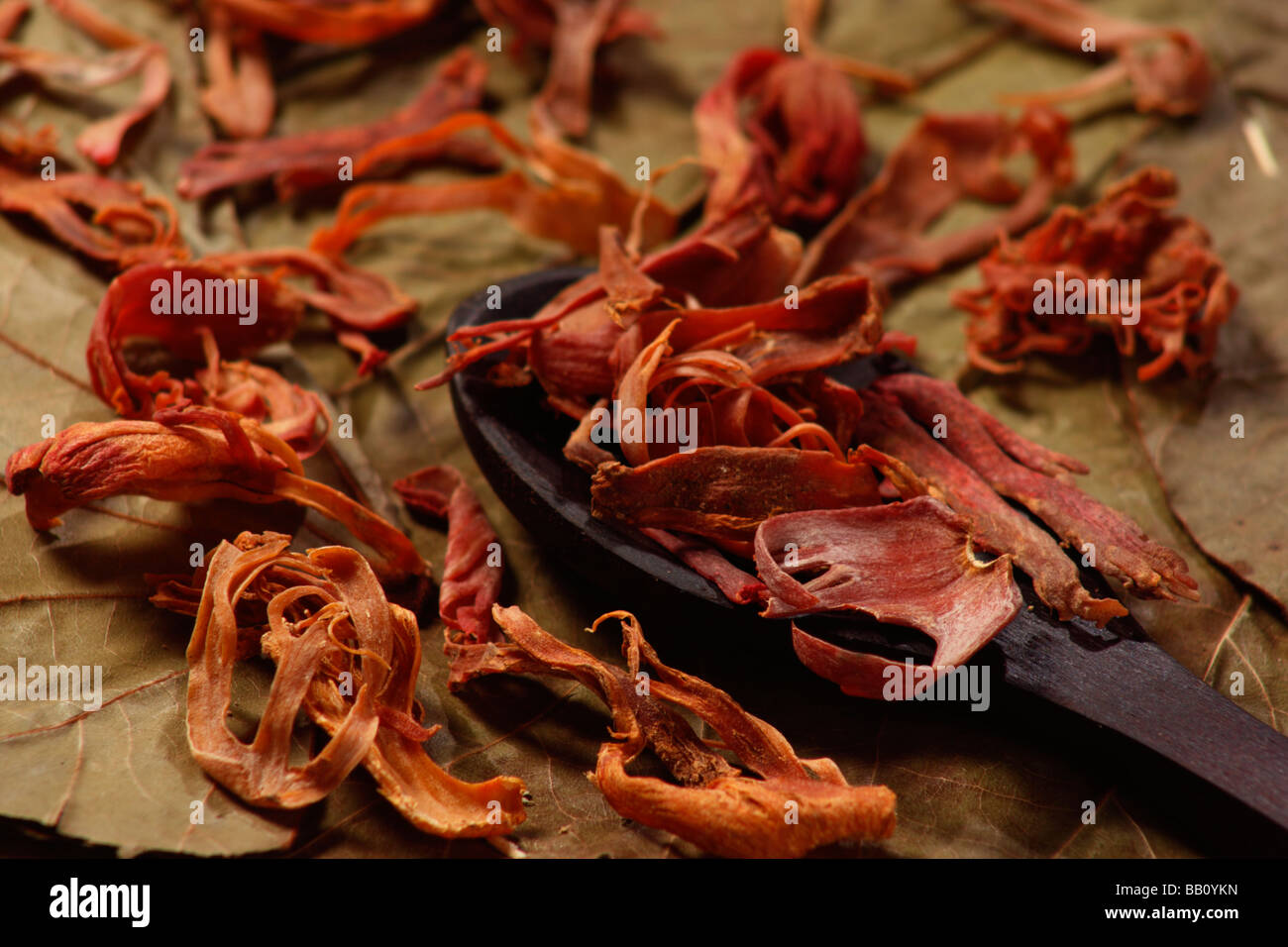 Javitri or Mace is the red skin that envelopes the hard kernel of a ...