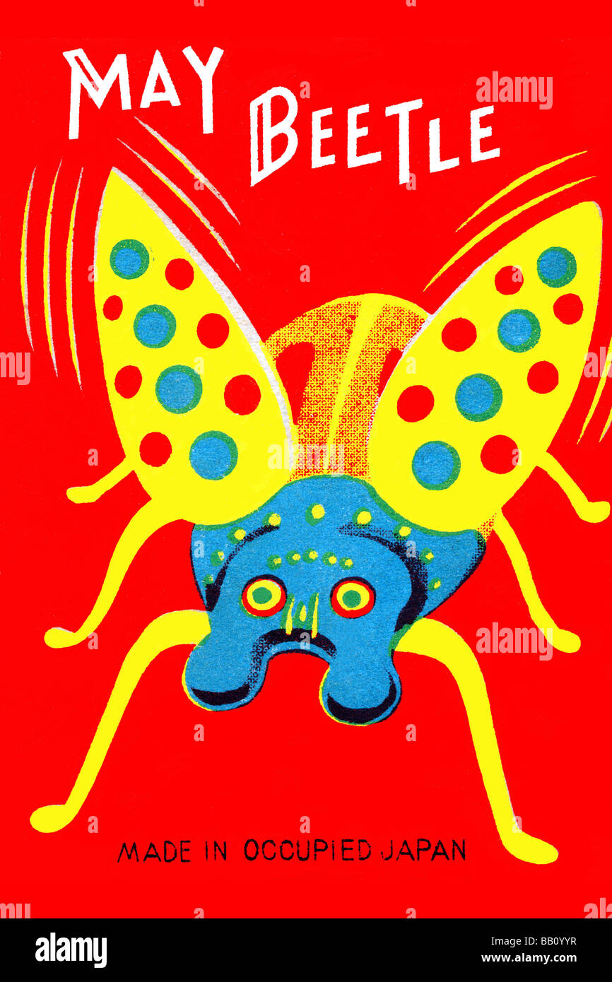 Walking beetle hi-res stock photography and images - Alamy