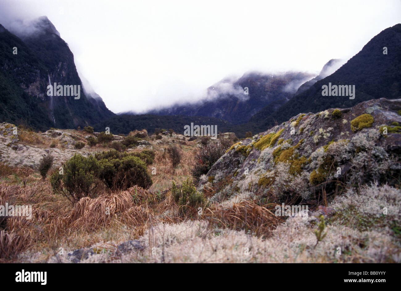 U shaped glaciated valley and alpine vegetation Kepler Track Fiordland ...