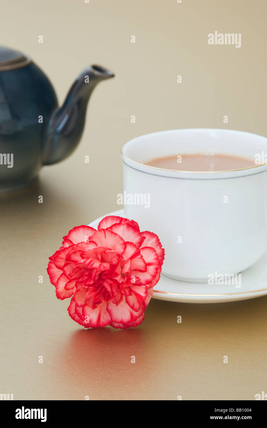 Studio Still Life White cup of English tea with red carnation flower in ...