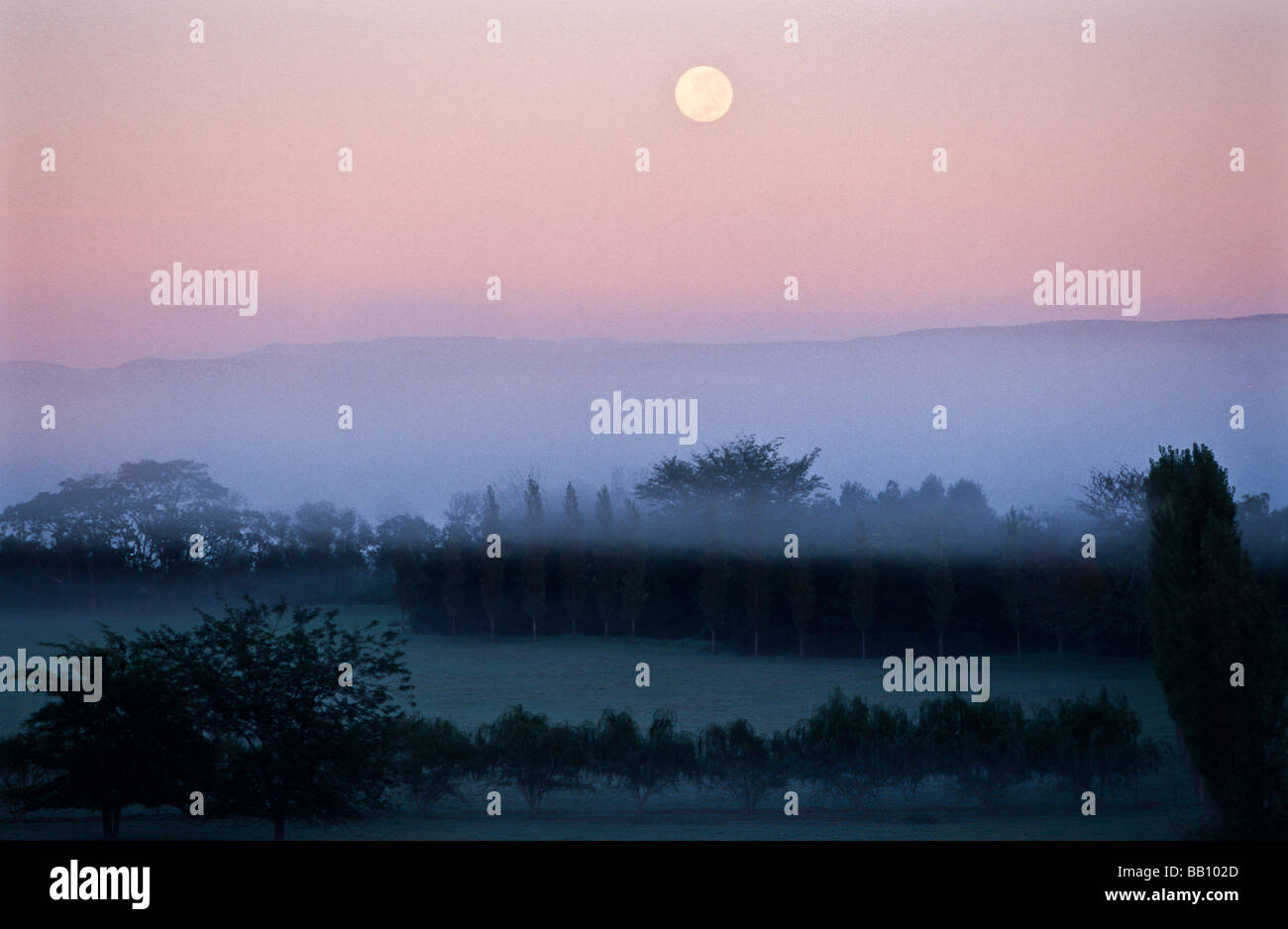 Morning mist and moon, Australia Stock Photo - Alamy