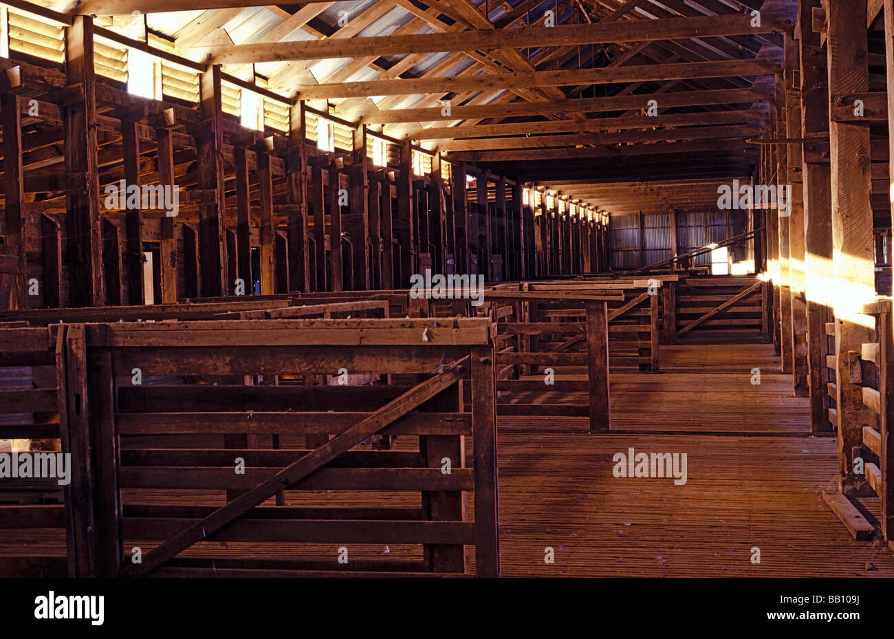 Interior historic woolshed, Australia Stock Photo - Alamy