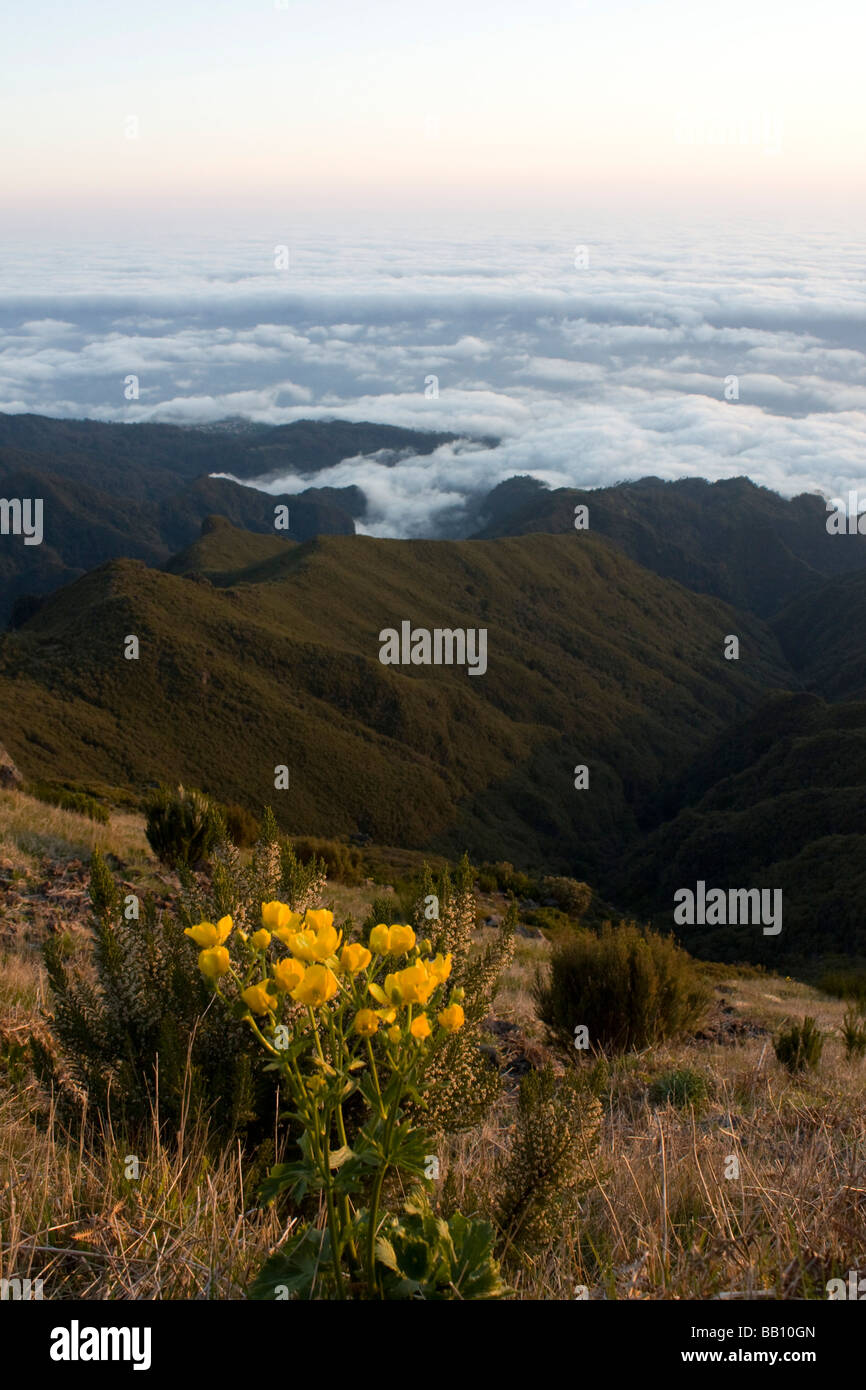 madeira portugal an island in the mid Atlantic Ocean Stock Photo - Alamy