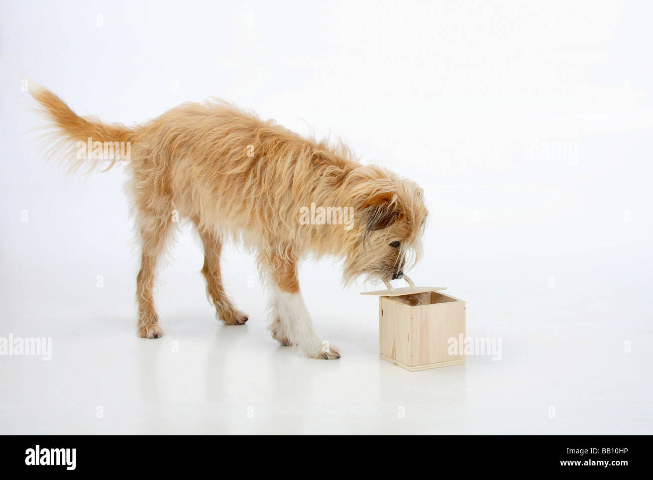 Taking cover hi-res stock photography and images - Alamy